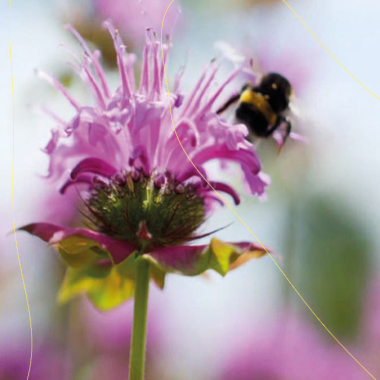 10 Lieblingsplätze in der Naturpark-Kommune Kalletal