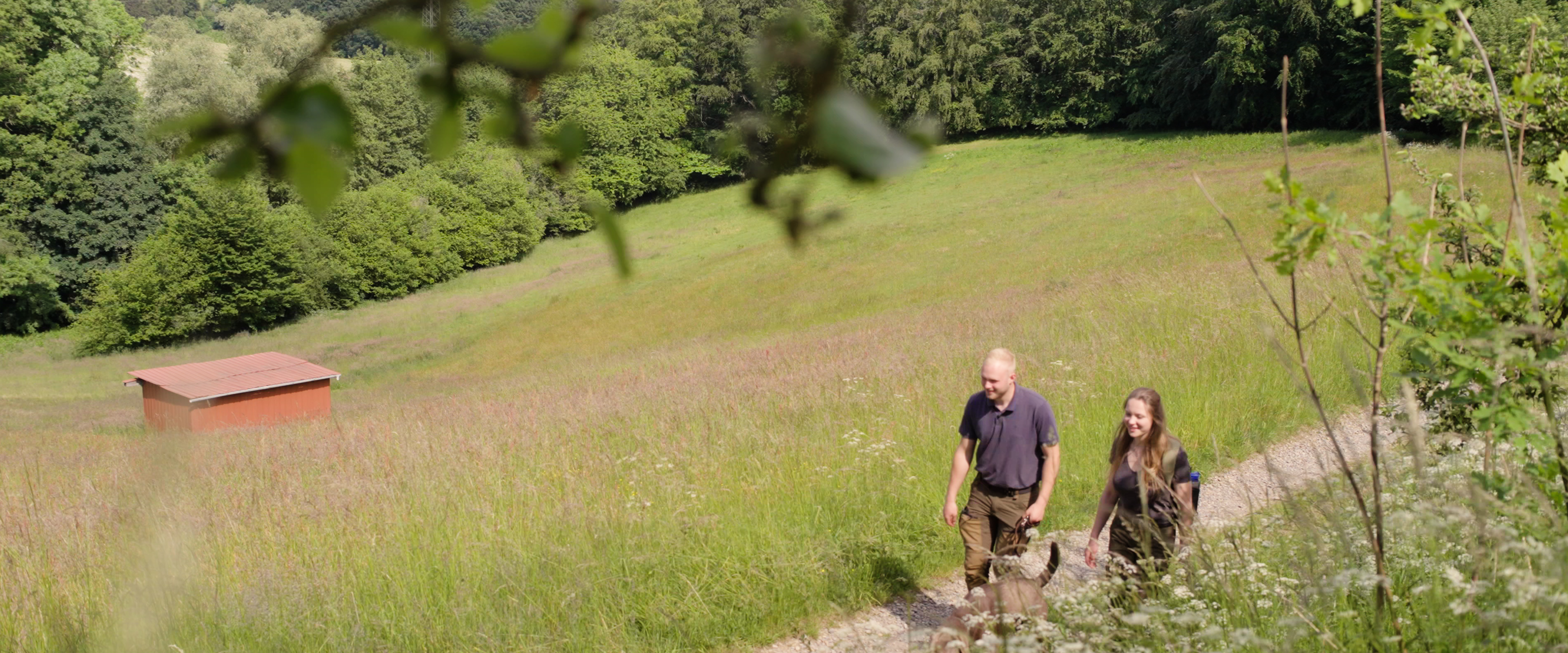 Blogbeiträge und Videos - Wandern in Kalletal